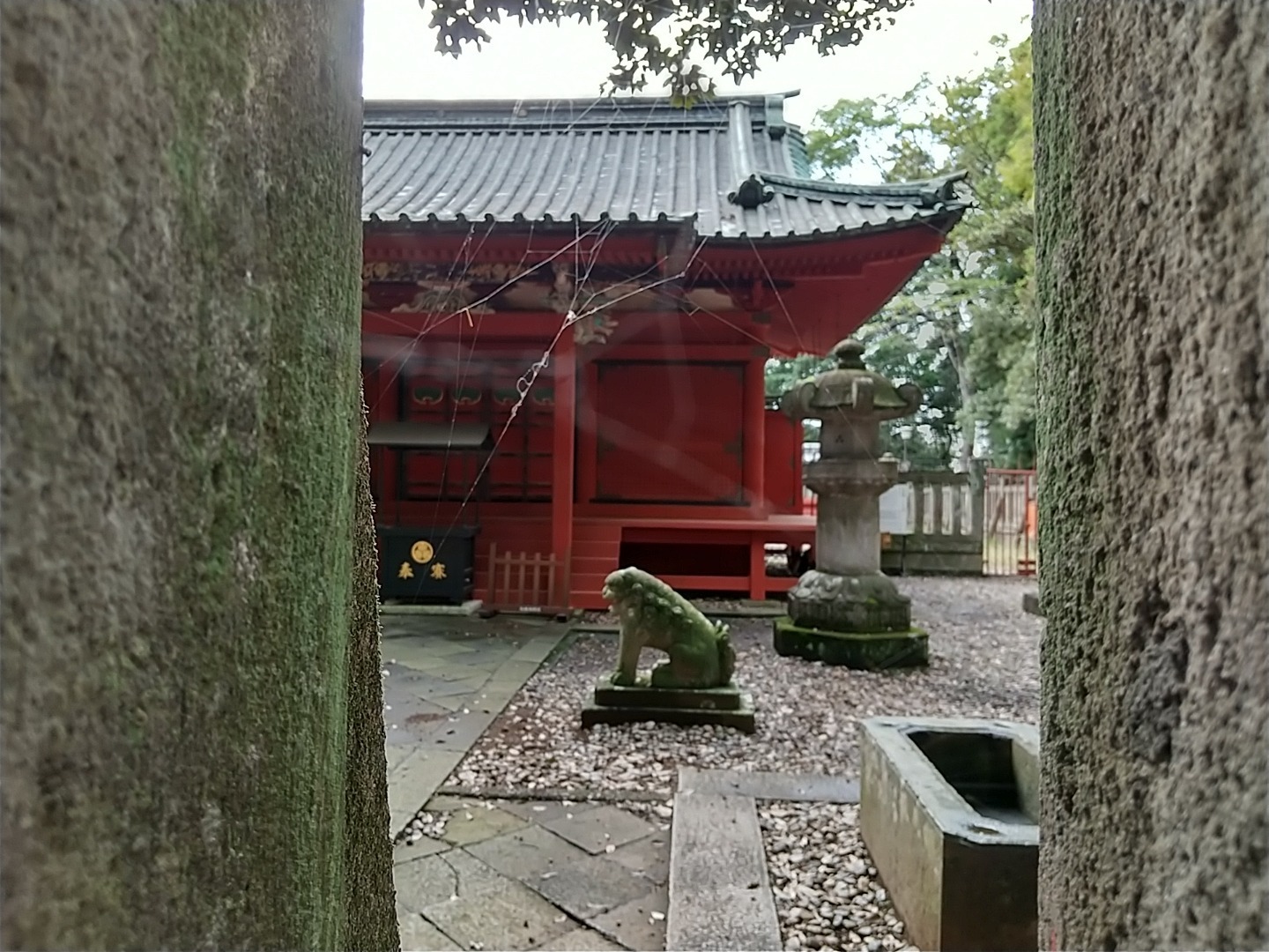 英語で散歩: 川越英語案内人～川越を英語で歩こう会～