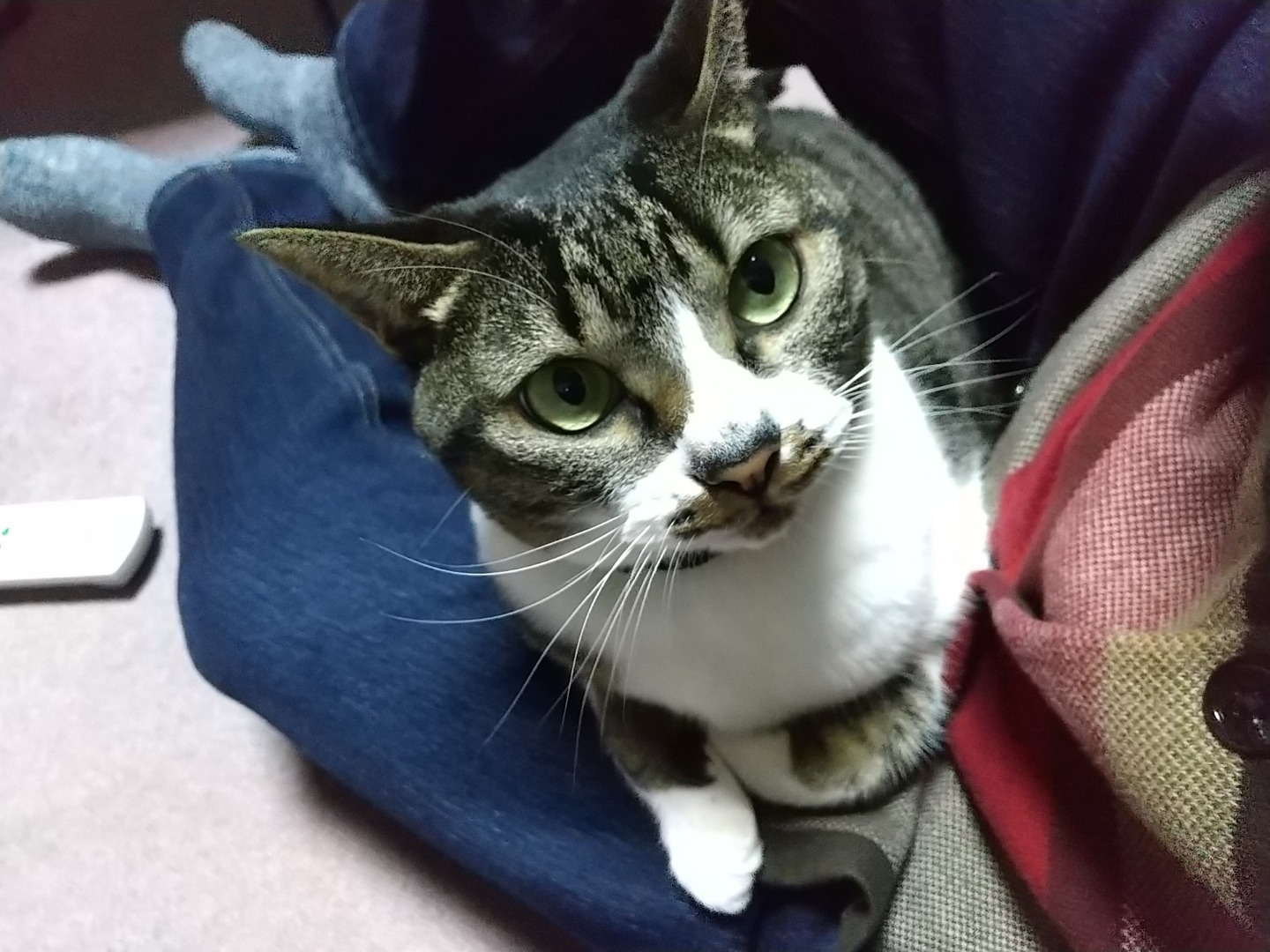 時計の持ち込み不可？: 川越英語案内人～川越を英語で歩こう会～