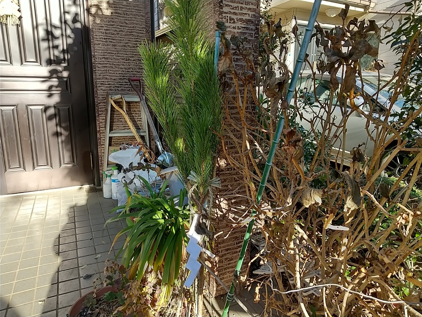 七草粥: 川越英語案内人～川越を英語で歩こう会～